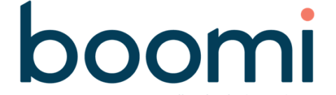 Boomi iPaaS Platform Services | Influential Software