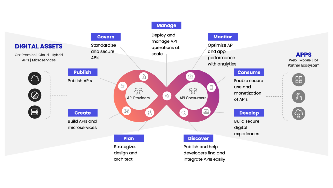 Boomi API Management Services | Influential Software